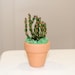 Mini Beaded Plants - Etsy