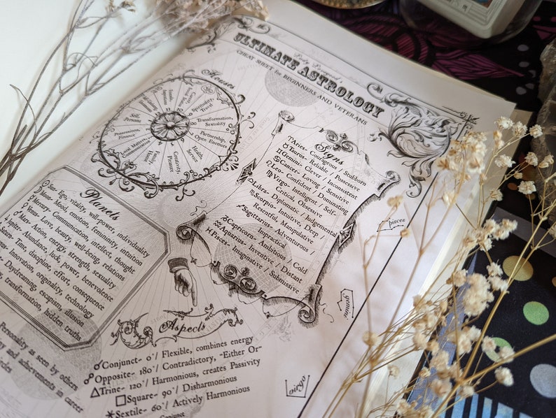 Astrology Cheat Sheet Book of Shadows Reference Sheet - Etsy