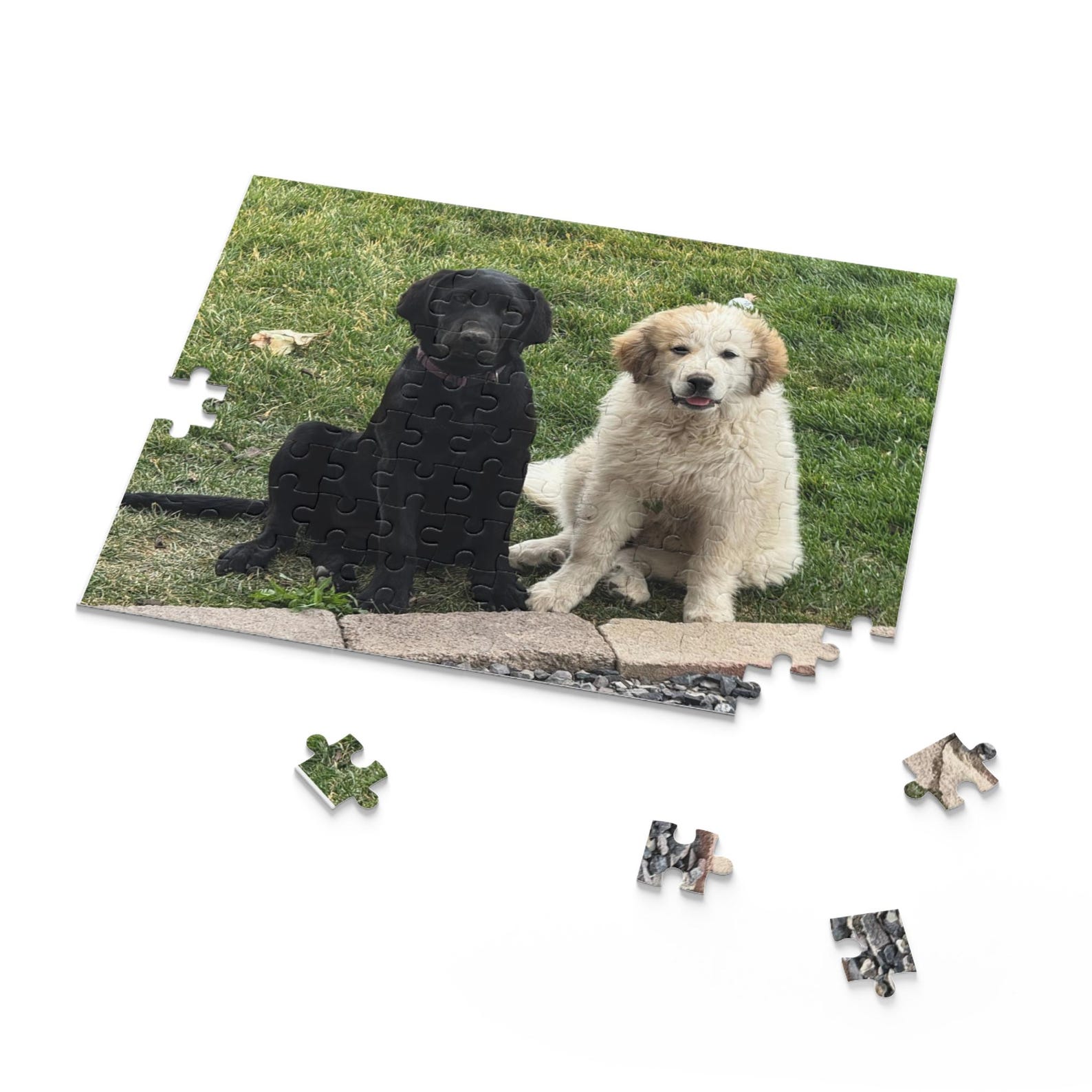 Personalized Photo Puzzle | Jigsaw| Custom Photo (120, 252, 500-piece ...
