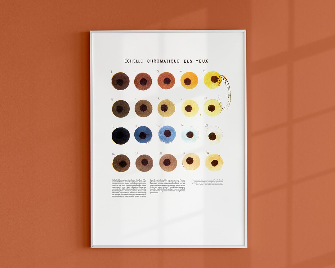 The Chromatic Scale of Eye Colors Illustrated Anthropology Science ...