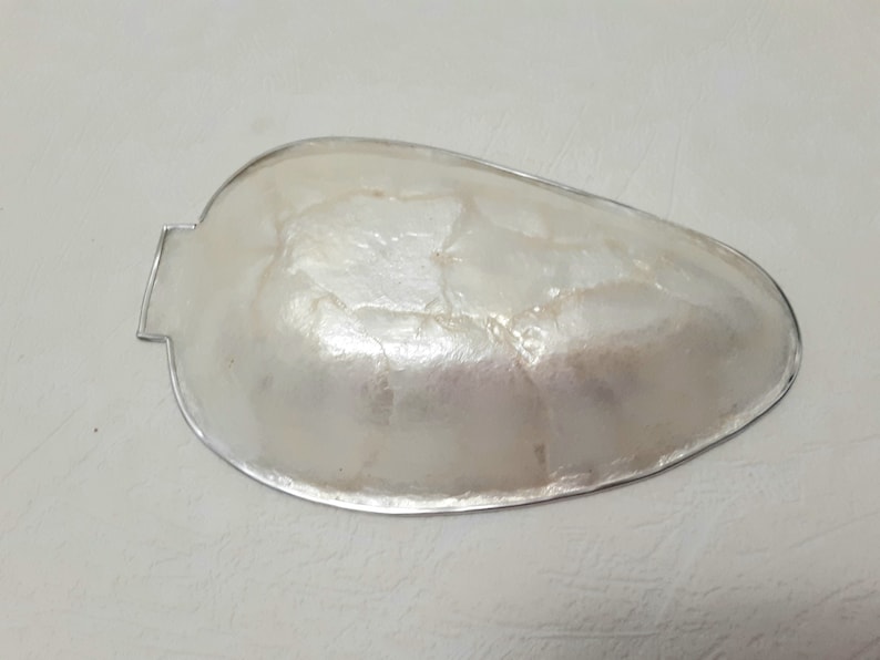 Capiz Shell Trays Leaf Shaped Plate Windowpane Oyster Tray - Etsy