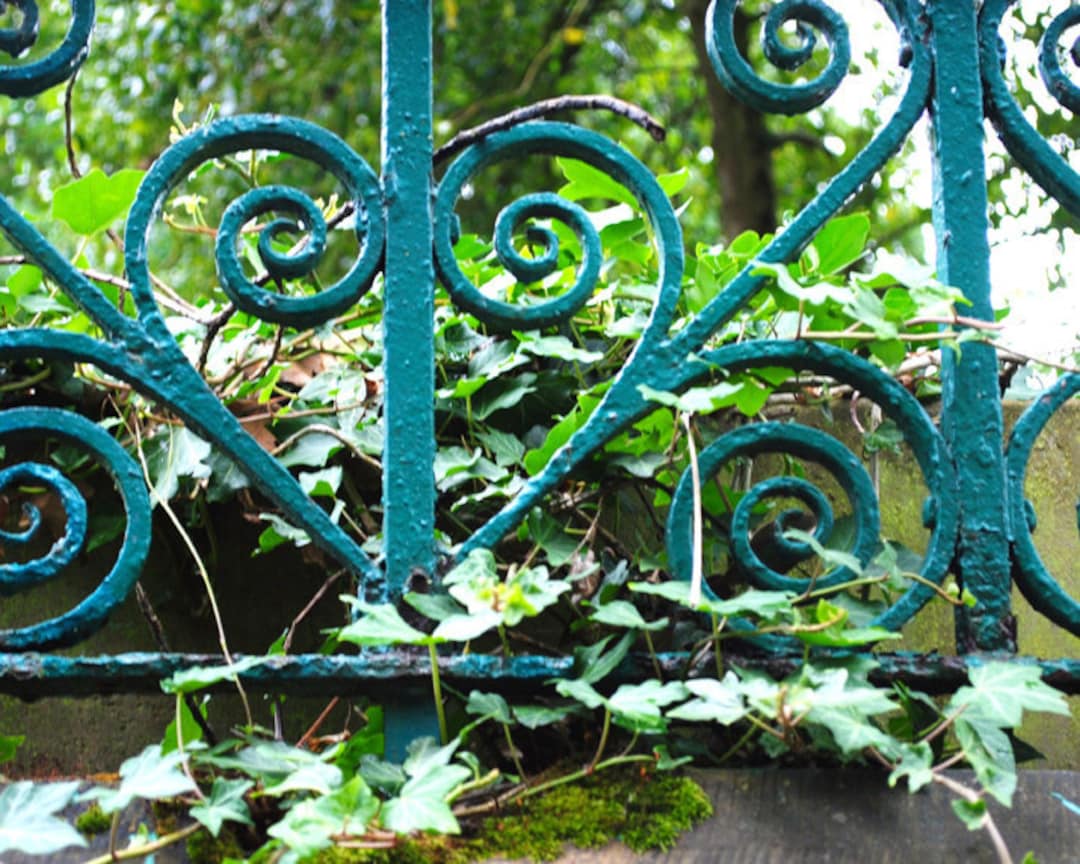 Tangled Heart (wrought Iron Heart), Fine Art Photography Print, Metal ...