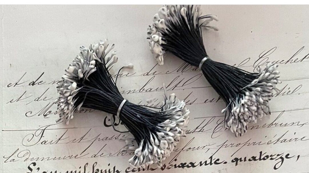 2 Bunches Vintage/antique Black W/white Tips Stamens Double Head Stems ...