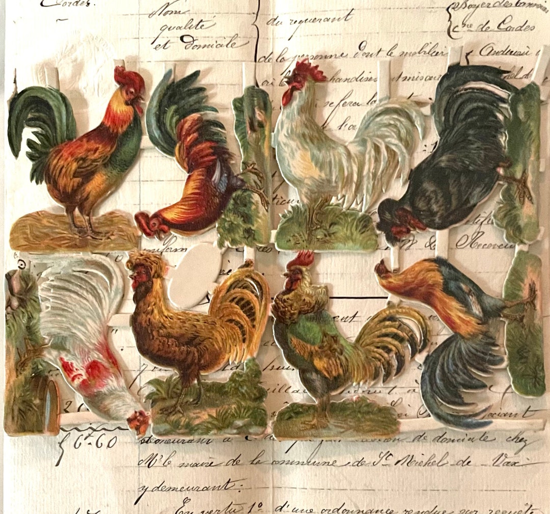 RARE!! Amazing 1890’s Roosters,chickens, Hens Antique Vintage German ...