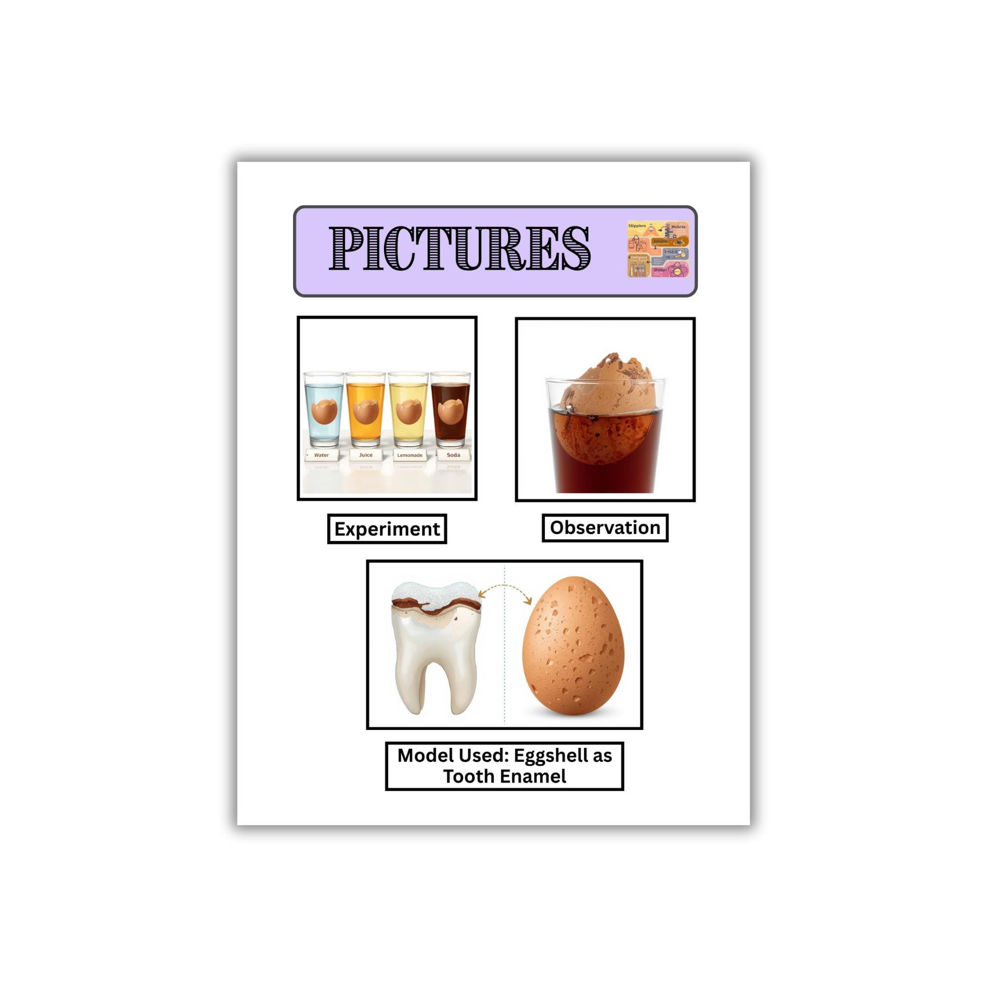 Tooth Decay Science Fair Project | Grades 2–5 | Editable & Printable US ...