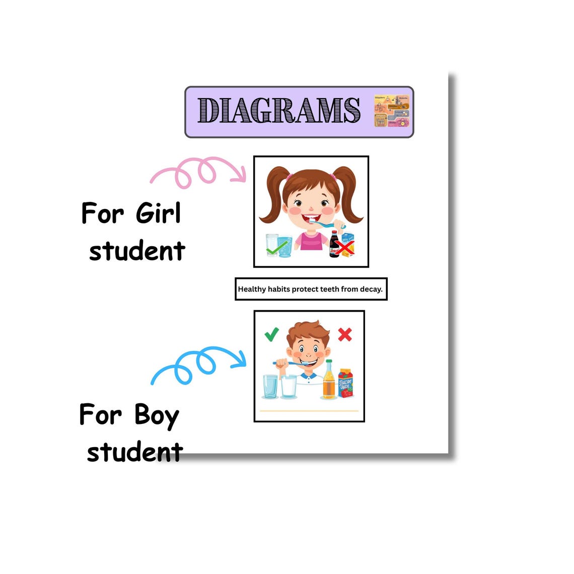Tooth Decay Science Fair Project | Grades 2–5 | Editable & Printable US ...