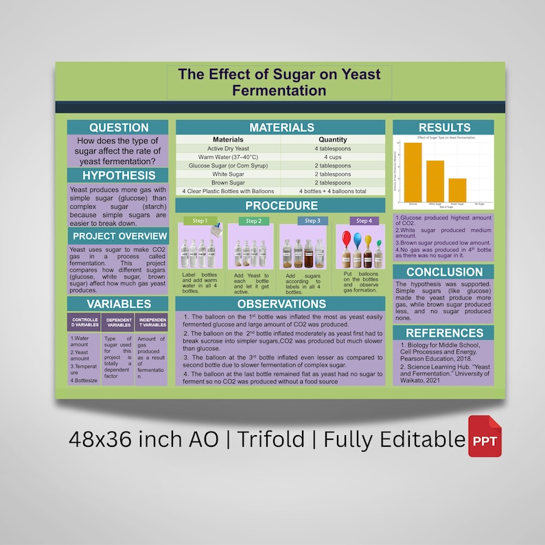 Ready to Print Science Fair Project & Template | STEM Trifold Display ...