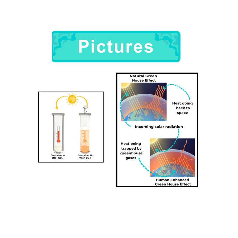 Ready to Print Science Fair Project | STEM Greenhouse Effect Trifold ...