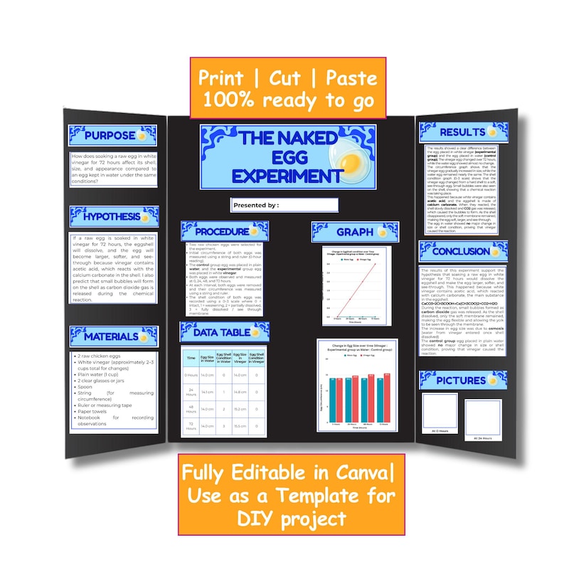 Science Fair Trifold Template - Etsy