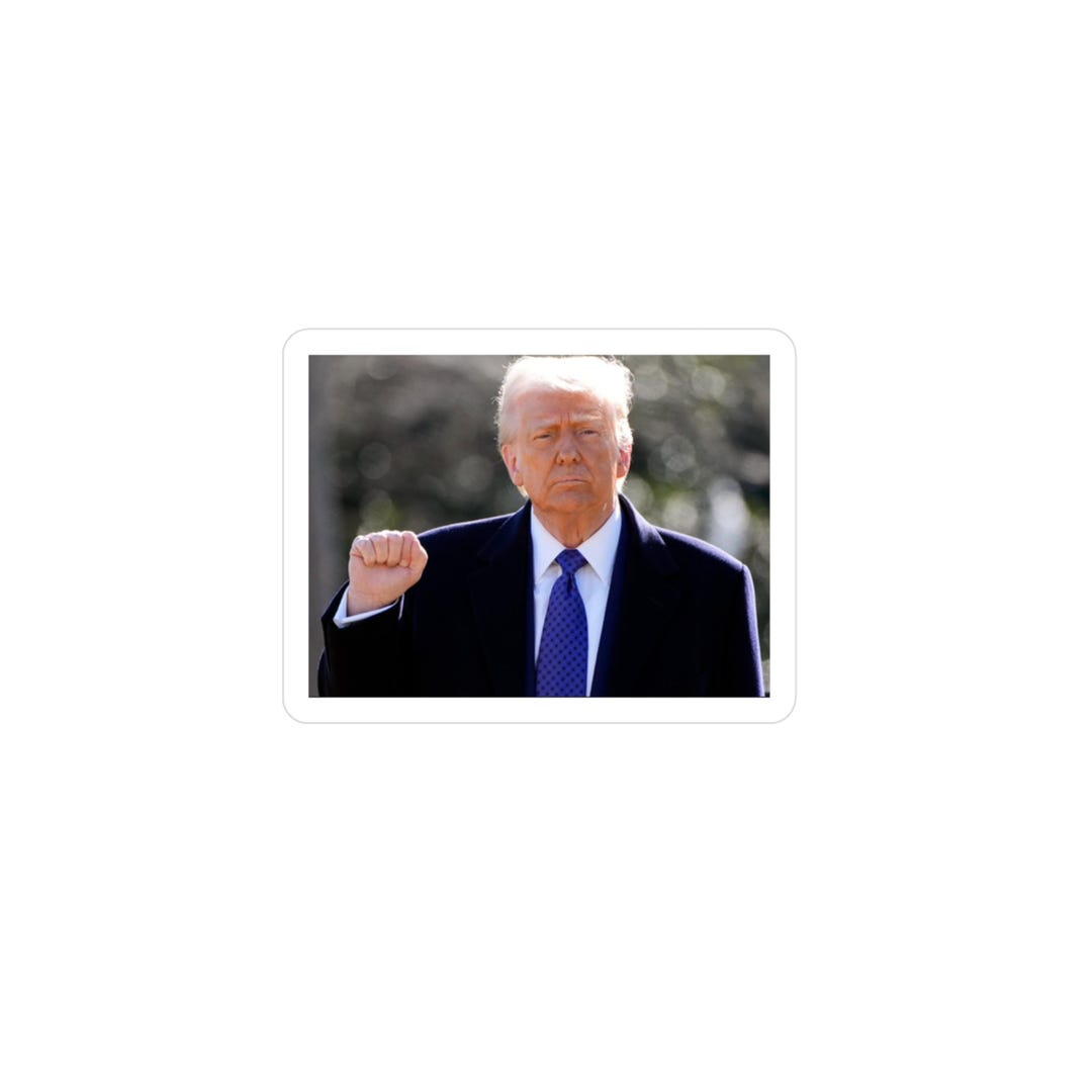 Trump Vinyl Decal - Etsy