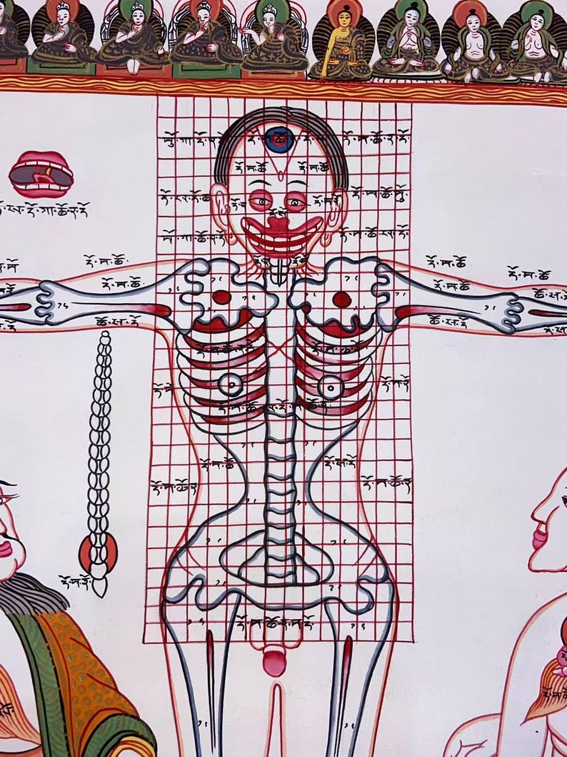 Human Body Anatomy Thangka|tibetan Medical Hand-painted Anatomy Chart ...