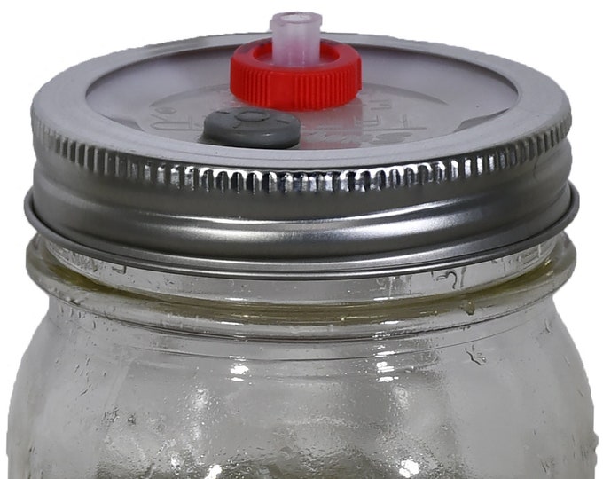 Liquid Culture Jar - Etsy