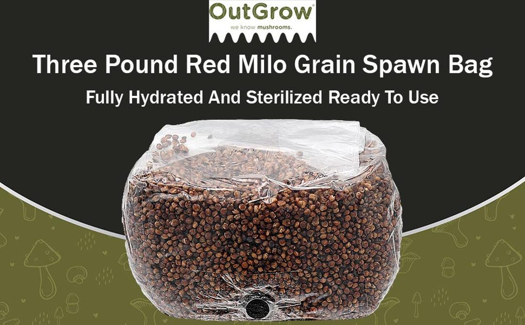Sterilized Red Milo Grain Spawn Bag - 3 Pounds - Etsy