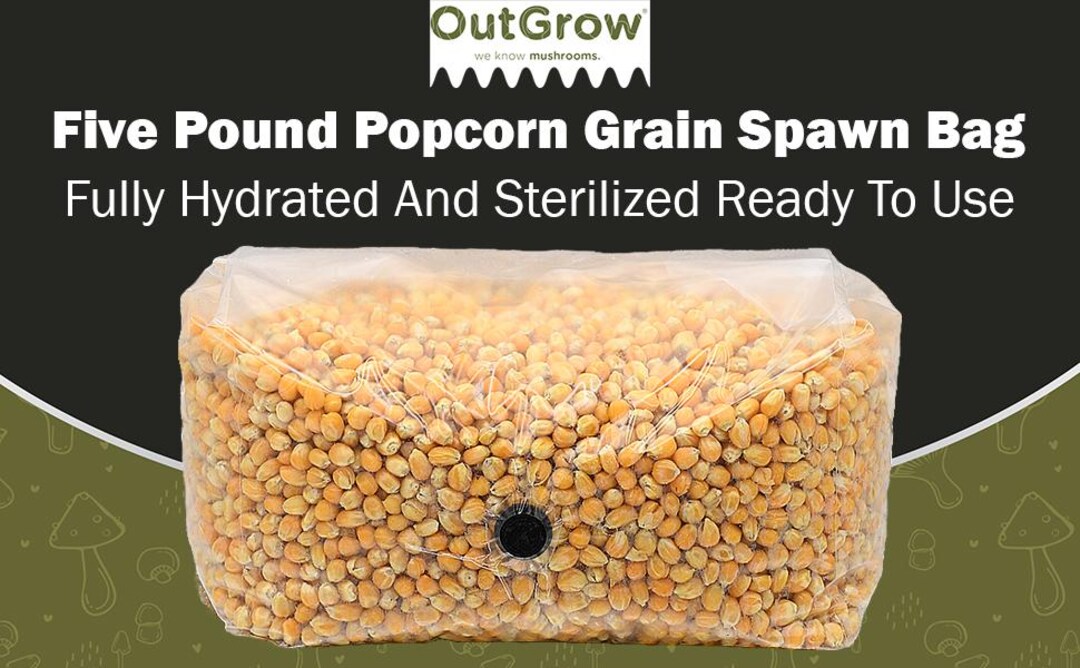 Sterilized Popcorn Grain Spawn Bag (5lb) - Etsy