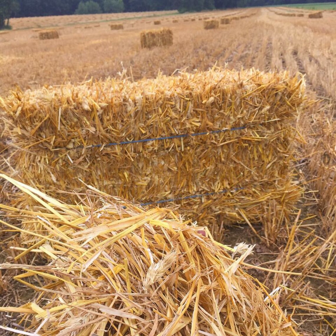 Wheat Straw 100% Natural and Additive Free 1 Cubic Foot - Etsy