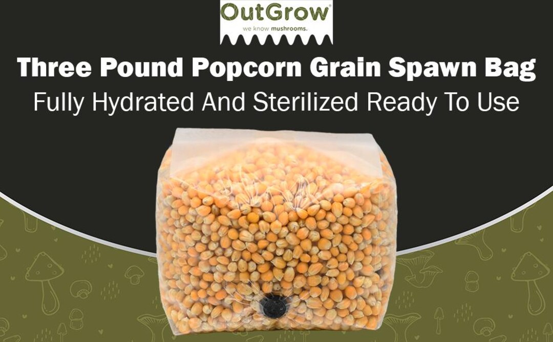 Sterilized Popcorn Grain Spawn Bag (3lb) - Etsy