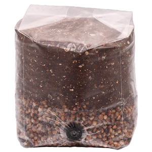 Mini Red Milo All-in-one Mushroom Grow Bag - Etsy