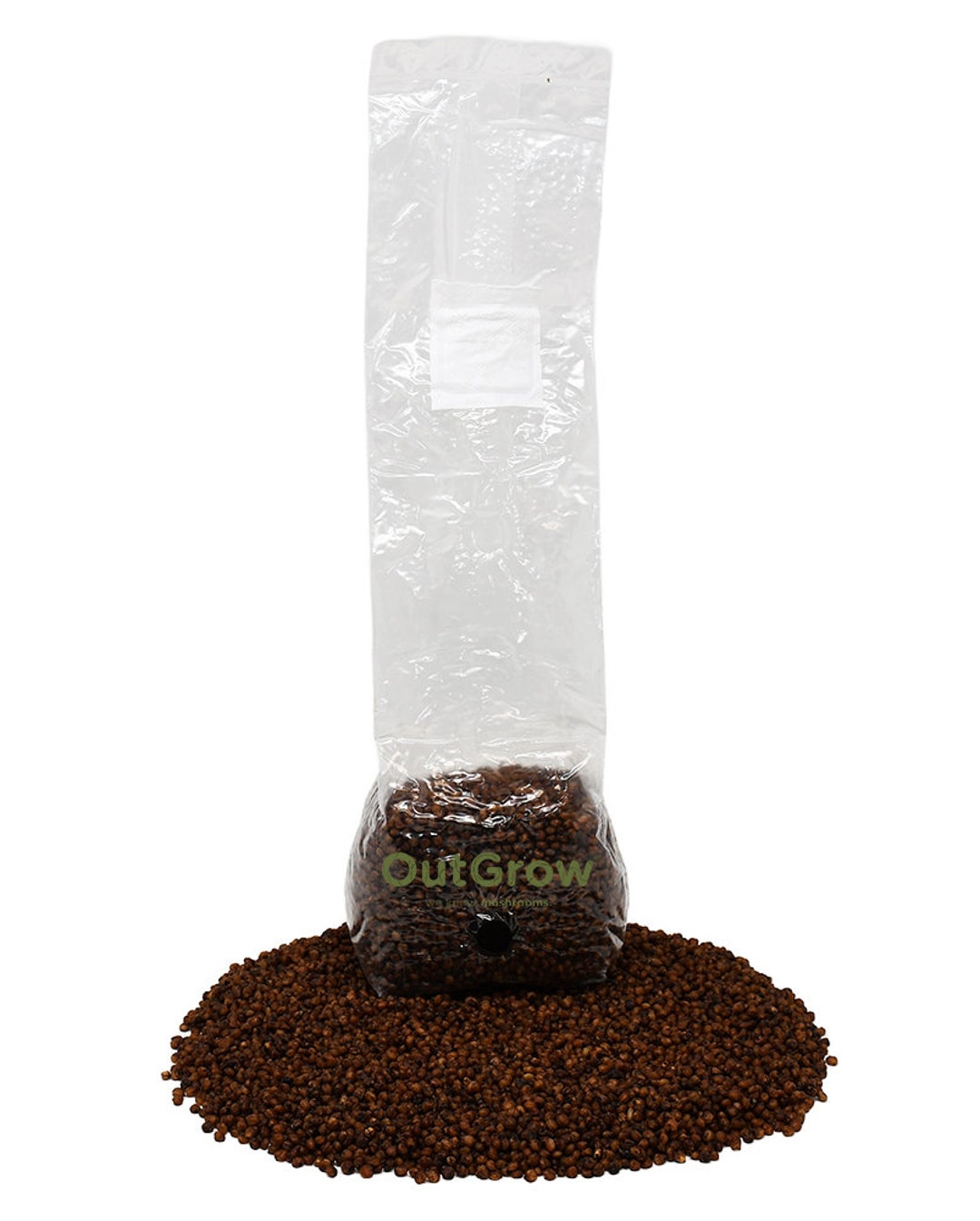 Sterilized Grain Spawn Mushroom Substrate Bags 1lb Bag - Etsy