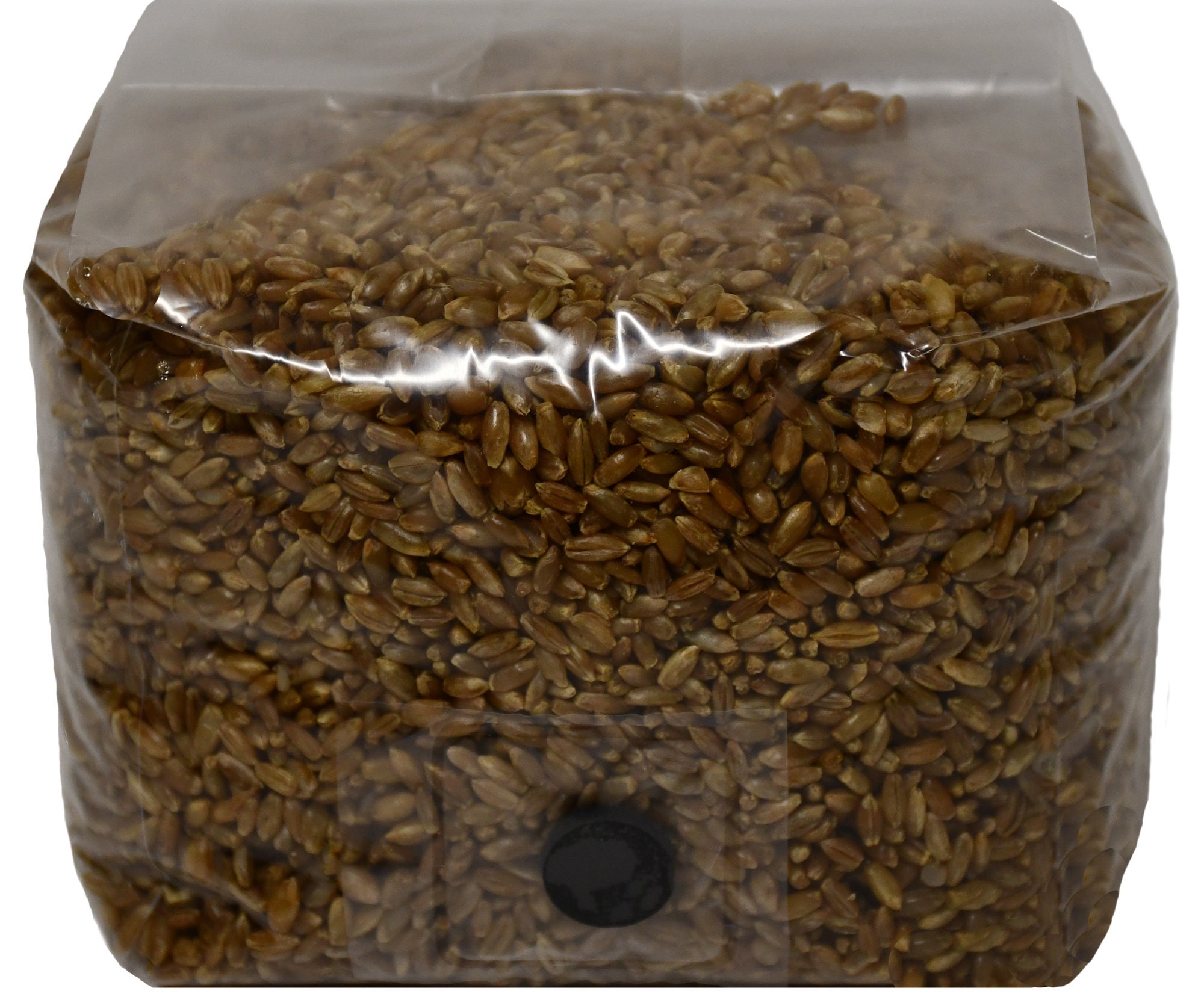 10 P Oc W Rye Seed Br M S G C C $4.55 gefinforma.com