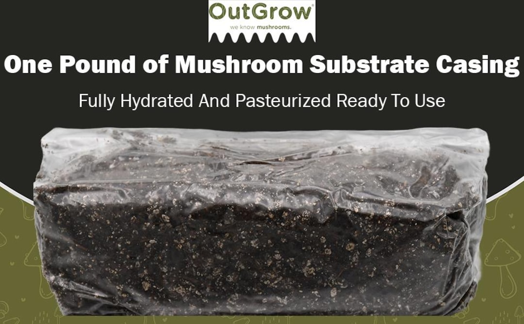 Pasteurized Mushroom Substrate Casing | 1 Lb Bag Ready for Use - Etsy