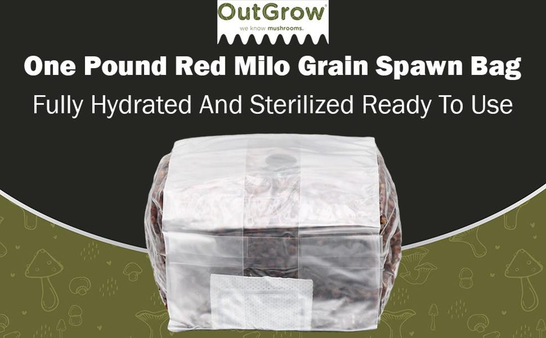 Sterilized Red Milo Grain Spawn - 1lb Bag - Etsy