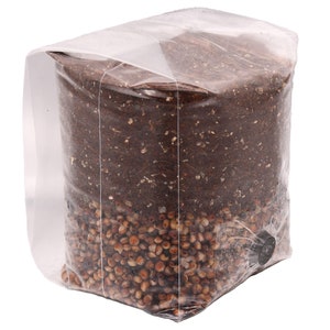 Mini Red Milo All-in-one Mushroom Grow Bag - Etsy