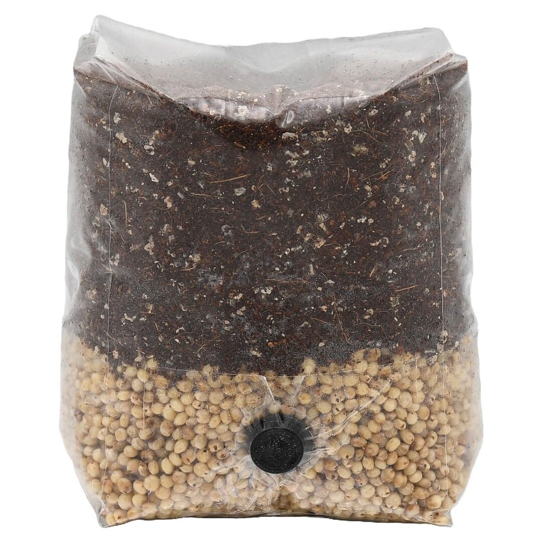 Mini White Milo All-in-one Mushroom Grow Bag - Etsy