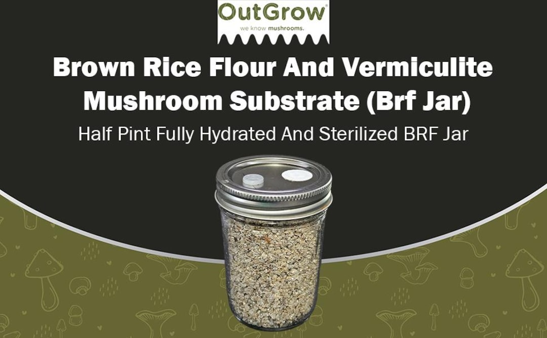 BRF Jars – Sterilized Brown Rice Flour Mushroom Substrate - Etsy