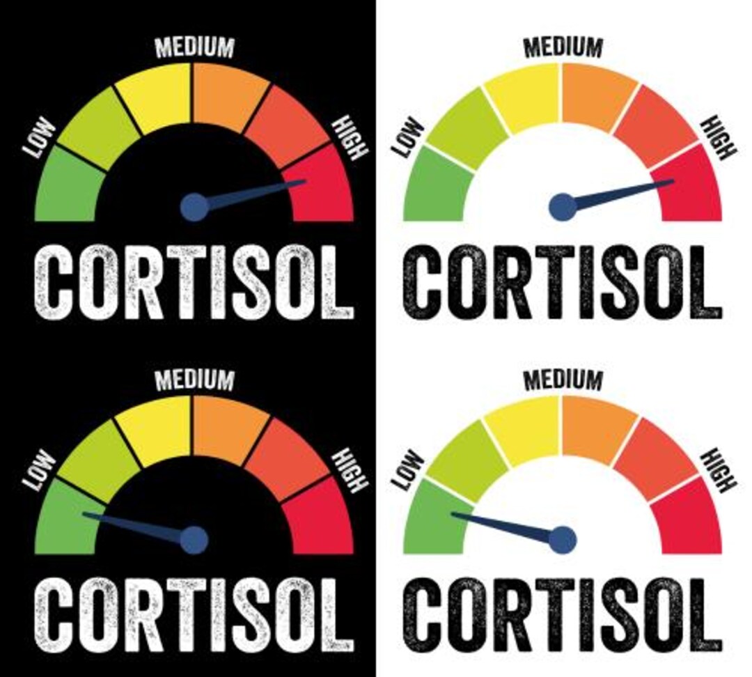 Cortisol Levels Png Svg, Low High Cortisol Spike Meme(digital Download ...