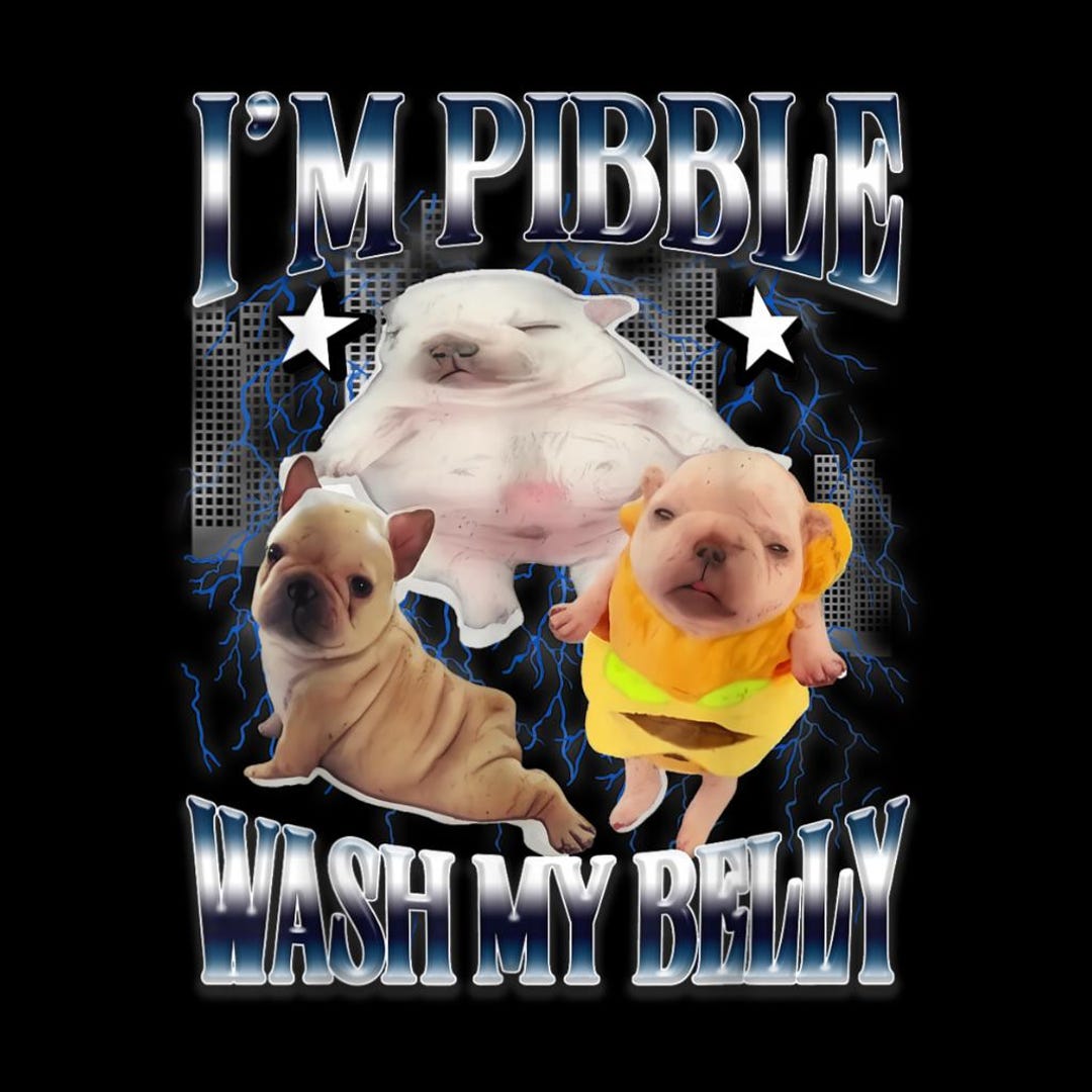 Silly Meme Pibble Meme Wash My Belly Clean PNG - Etsy