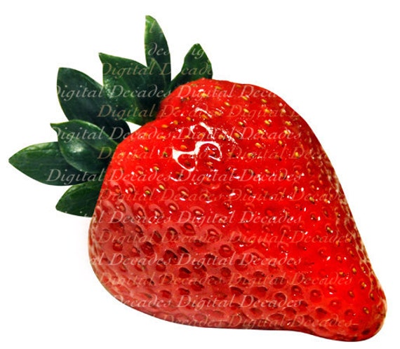 The Perfect Strawberry Fruit Digital Photo Image | Etsy