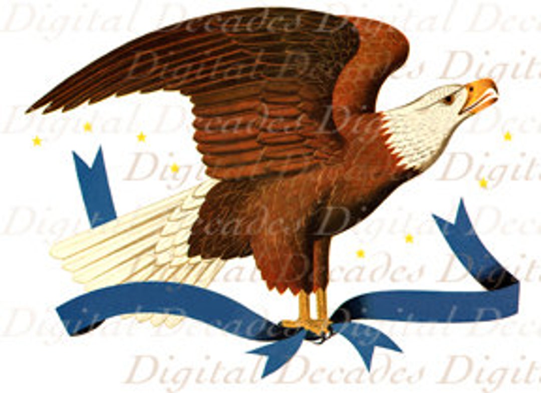 American Eagle Bird Patriotic USA Stars Primitive Folk Art Style ...