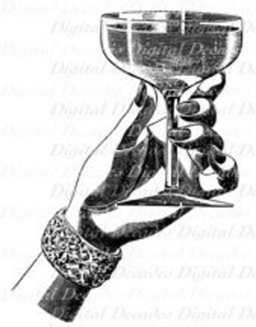 Cheers Hand Holding Champagne Glass Party Pub Toast - Digital Image ...