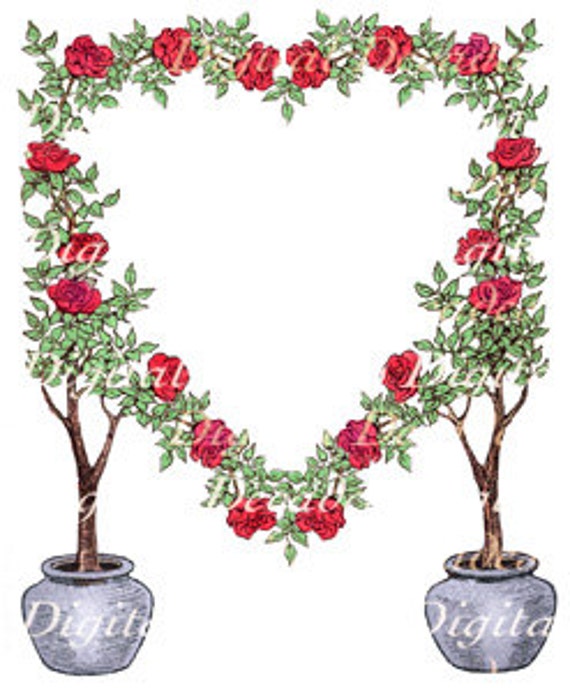 Heart Shaped Rose Topiary Tree Formal Garden Boxwood Garland | Etsy