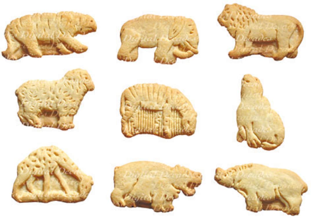 Animal Crackers - Cookies Snack Food Kids Zoo Circus Lion Tiger Seal ...