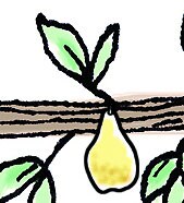 Espalier Parterre Cordon Topiary Pear Tree Formal Garden Boxwood ...