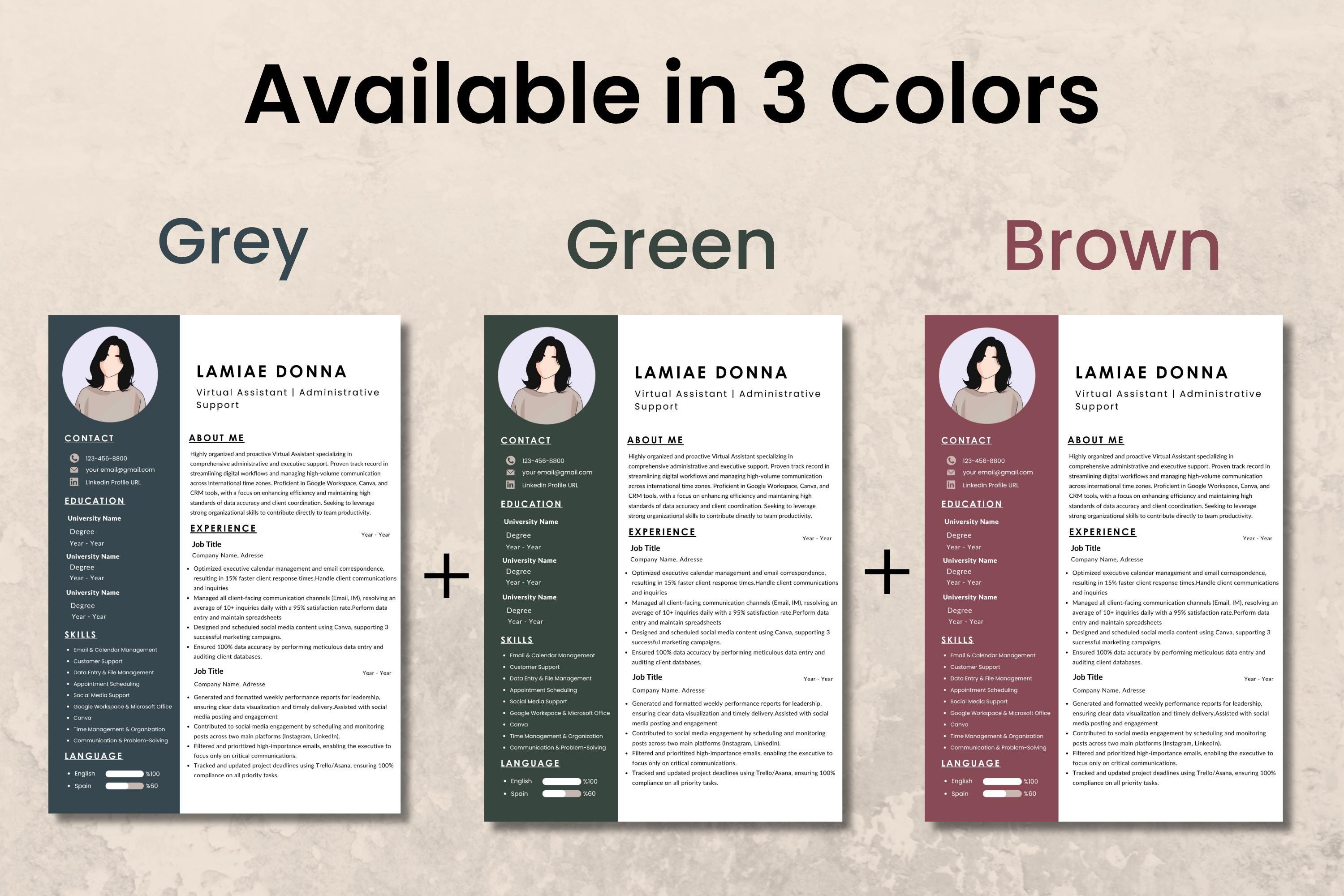 2026 Modern Resume Template | Editable in Canva | for Virtual Assistant ...