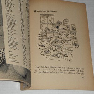 Golden Book Question and Answer Adventures With Shell by Eva Knox Evans ...