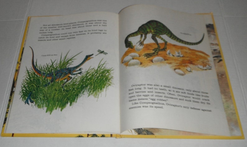 Dinosaurs Giants of the Past by Eileen Daly Illustrated by Rod Ruth A ...