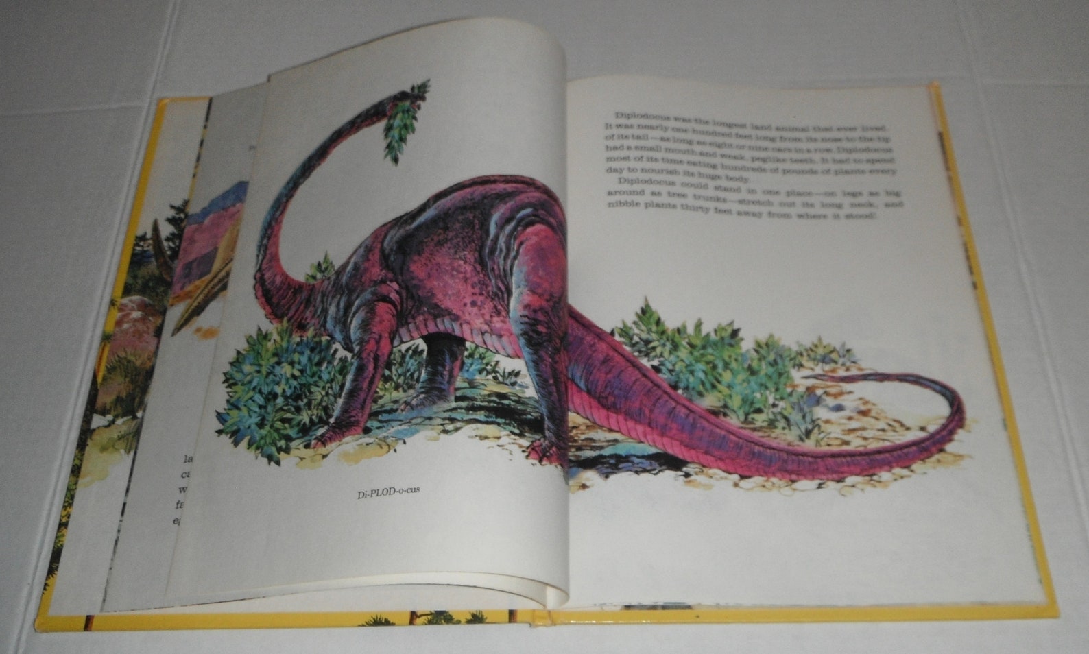 Dinosaurs Giants of the Past by Eileen Daly Illustrated by Rod Ruth A ...