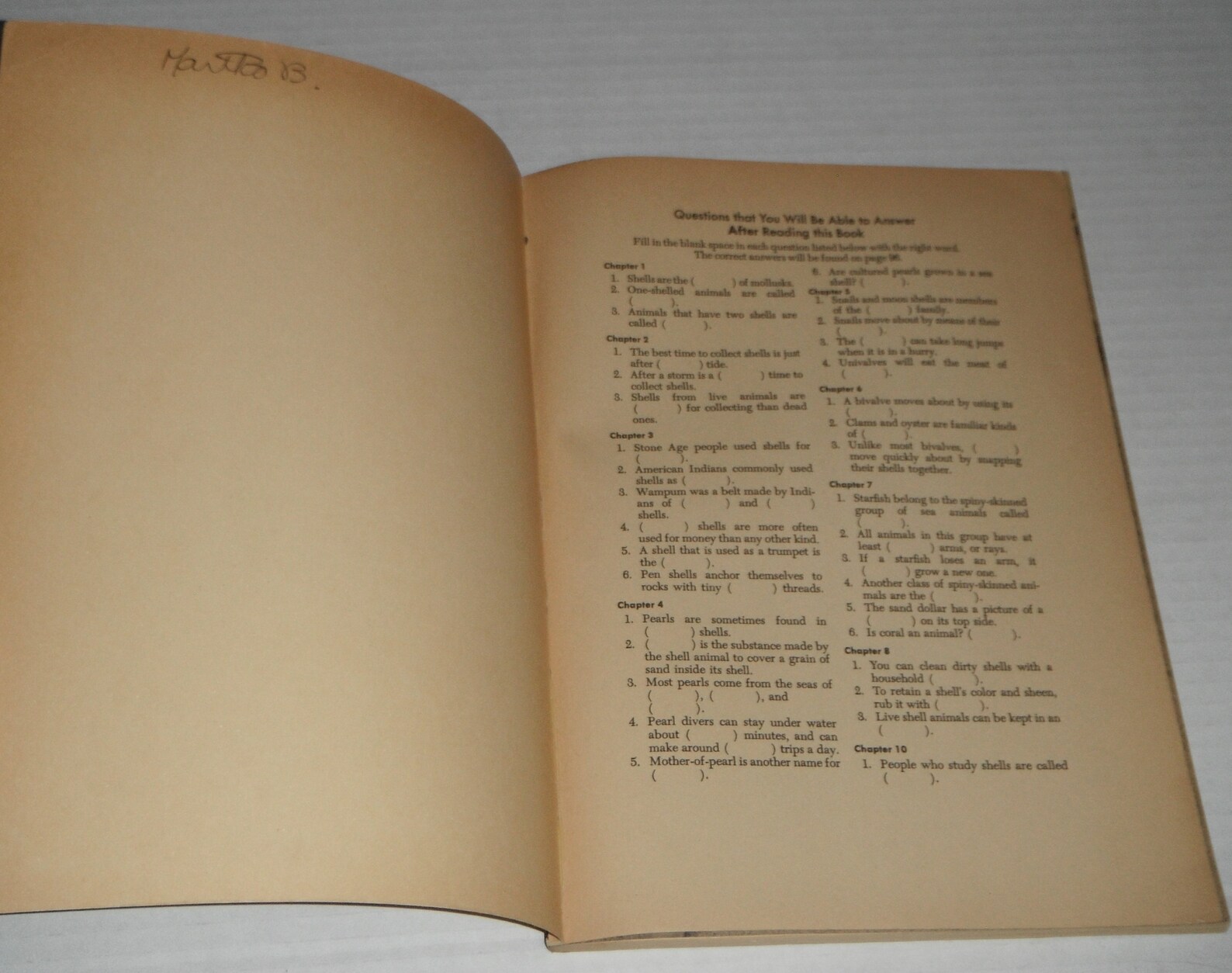 Golden Book Question and Answer Adventures With Shell by Eva | Etsy