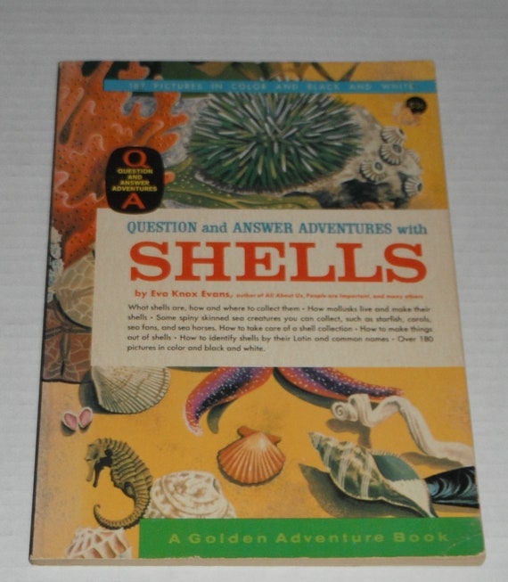 Golden Book Question and Answer Adventures With Shell by Eva | Etsy