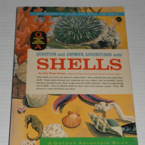 Sea Shells Books - Etsy
