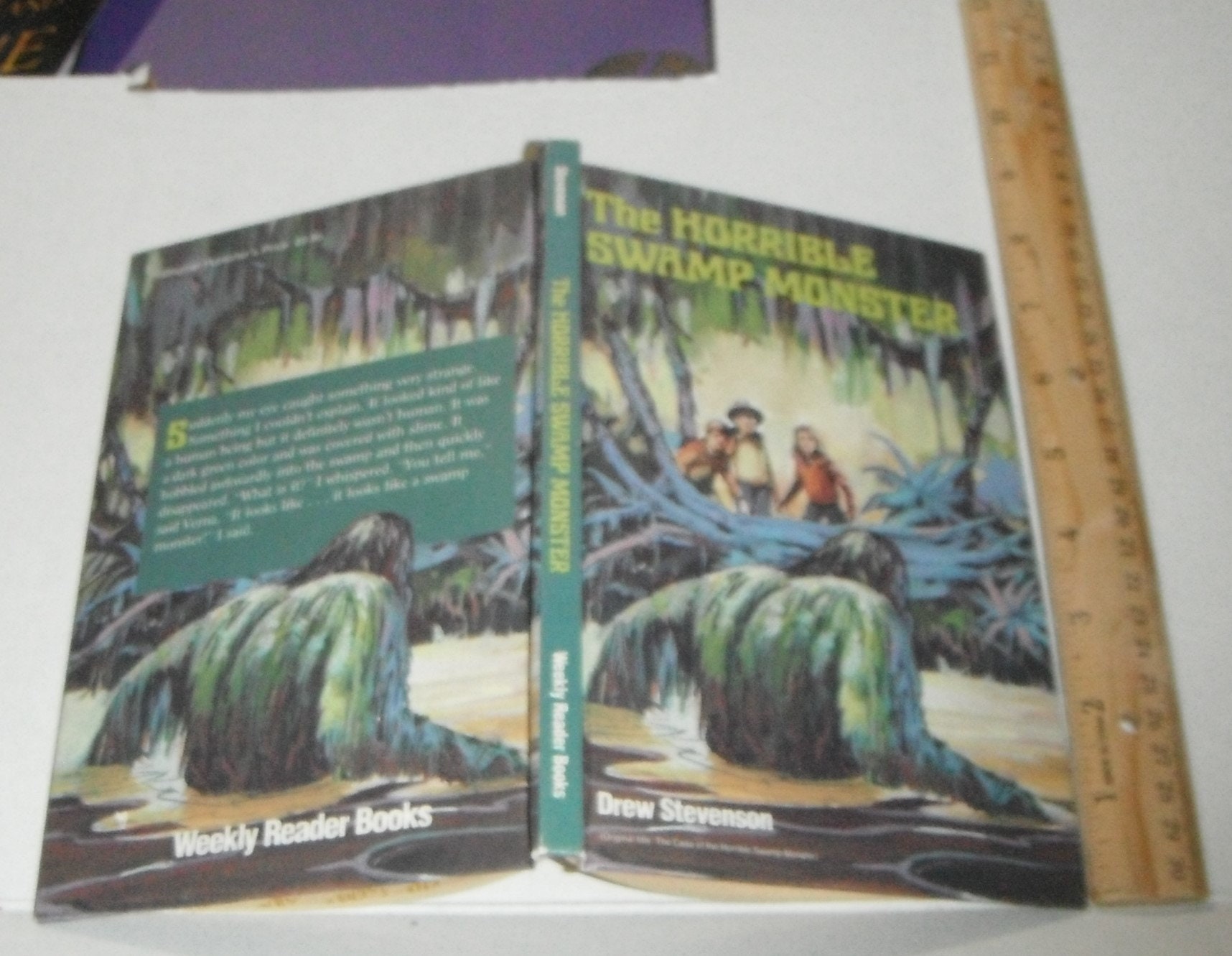 The Horrible Swamp Monster by Drew Stevenson Illustrated by - Etsy