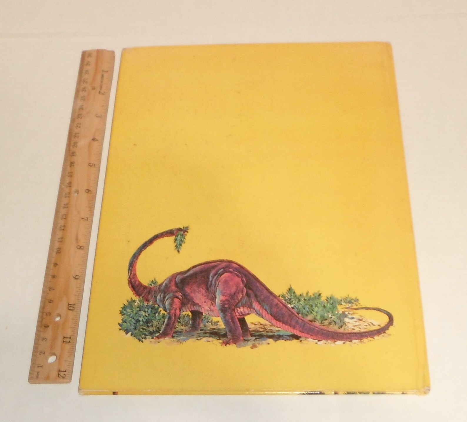 Dinosaurs Giants of the Past by Eileen Daly Illustrated by Rod Ruth A ...