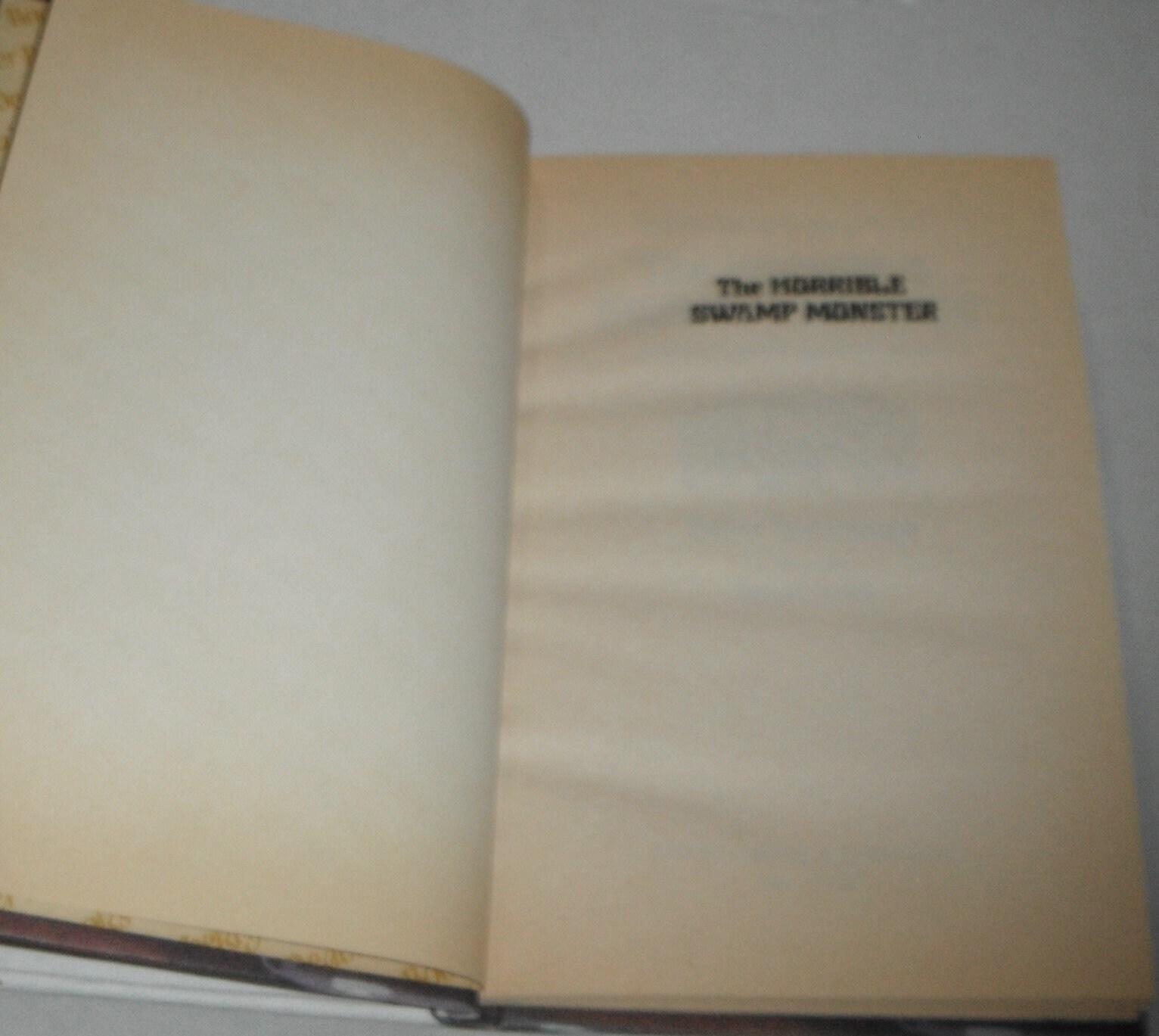 The Horrible Swamp Monster by Drew Stevenson Illustrated by - Etsy