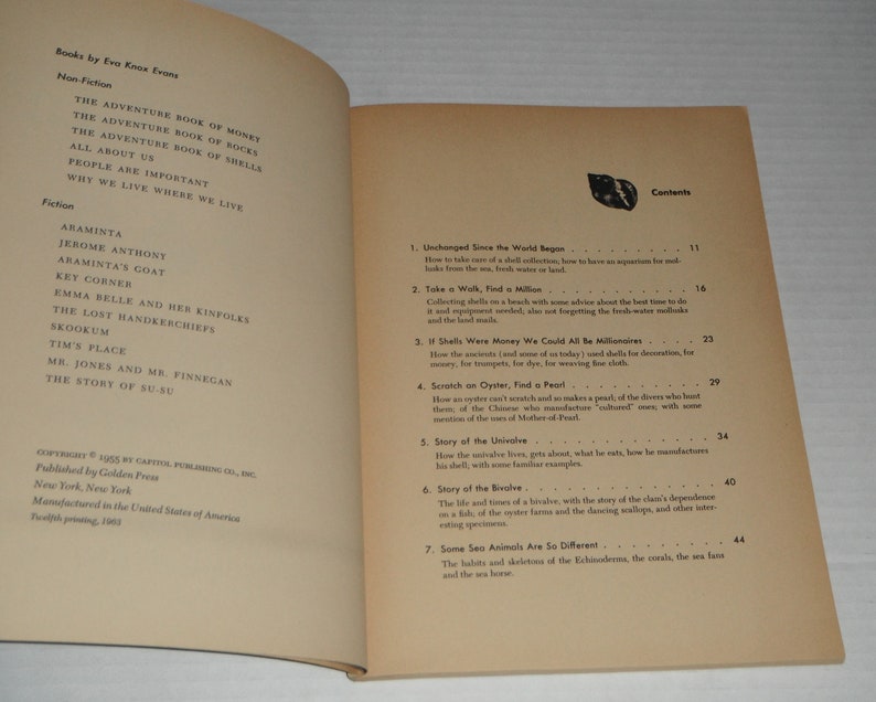 Golden Book Question and Answer Adventures With Shell by Eva - Etsy