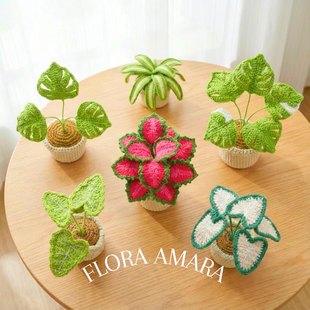 Mini Crochet Potted Plant – Handmade Monstera, Caladium, Coleus ...