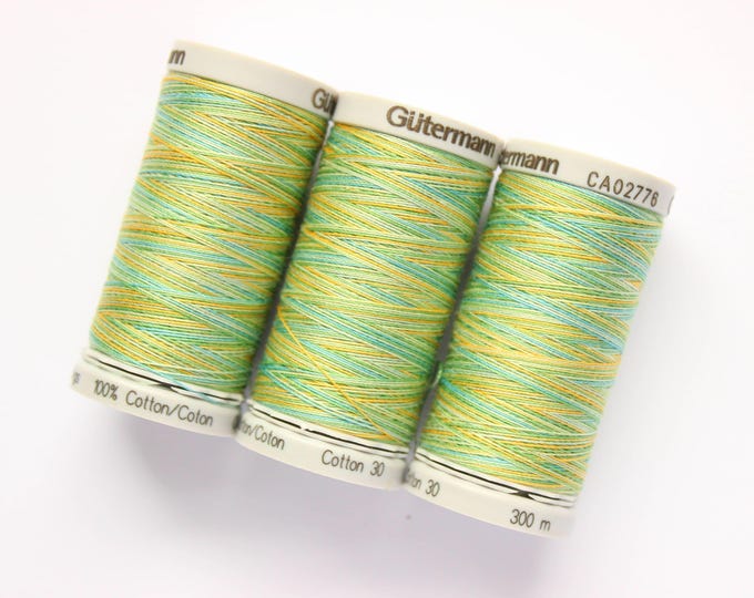 Rainbow Thread, Variegated Cotton Thread, Gutermann Variegated Sulky ...