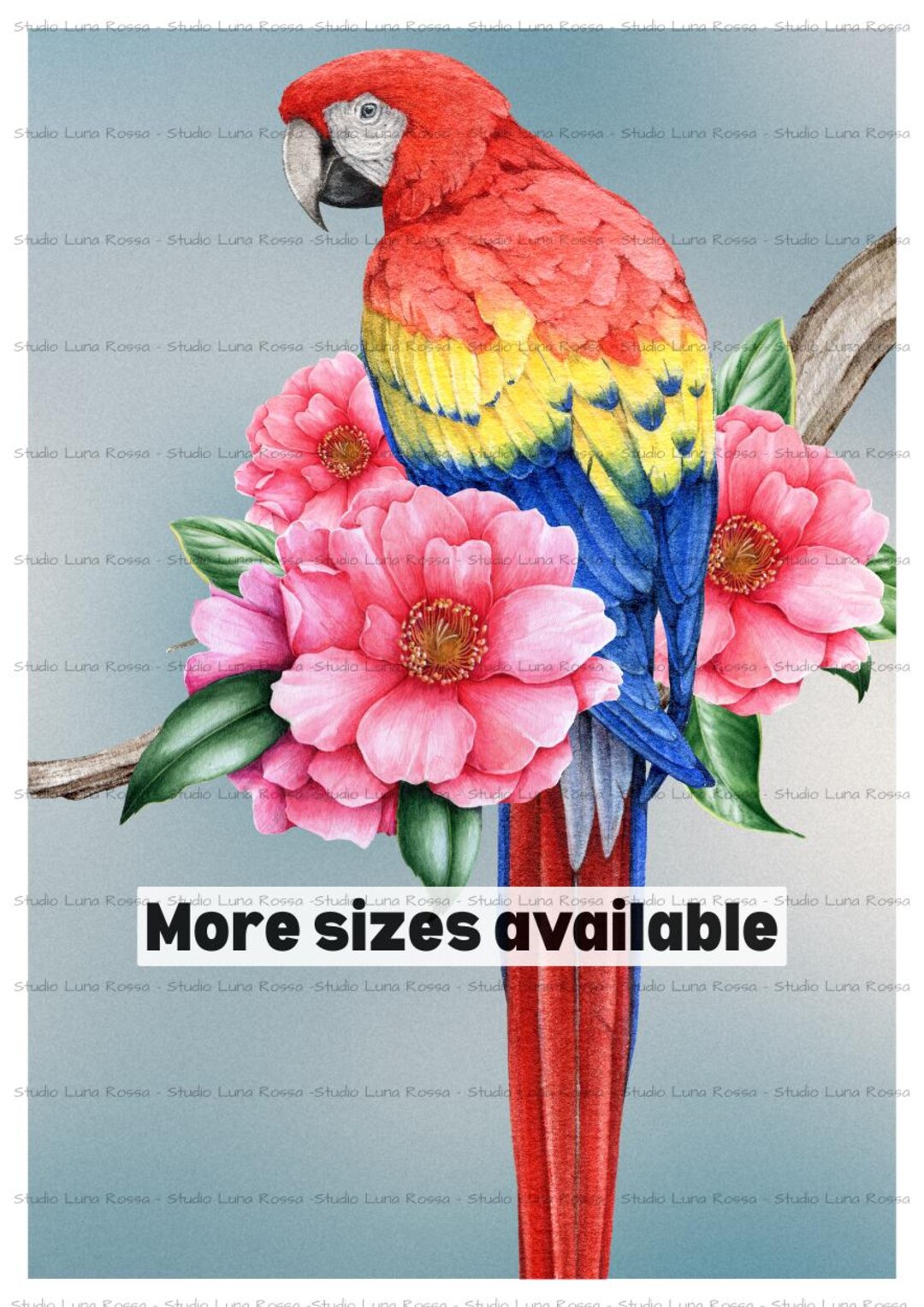 Red Macaw Decoupage Rice Paper A4, for Scrapbooks, Journals, Coasters ...